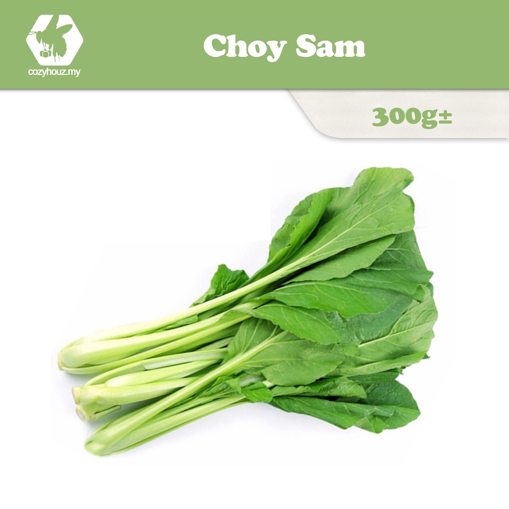 [BTW & PNG AREA ONLY] Choy Sam / Sawi 300g± | Shopee Malaysia