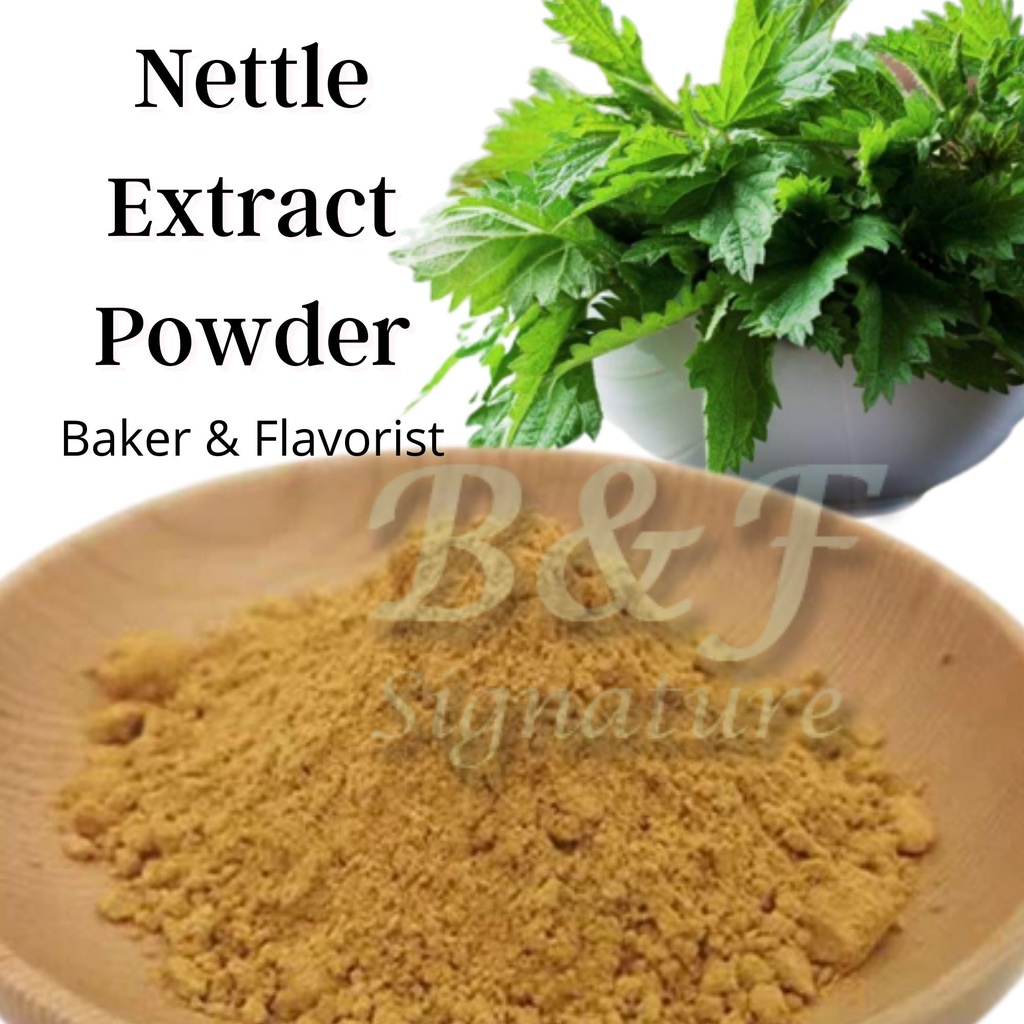 Nettle Powder Extract 250g Stinging Nettle 荨麻 Urtica Nettle Leaf ...