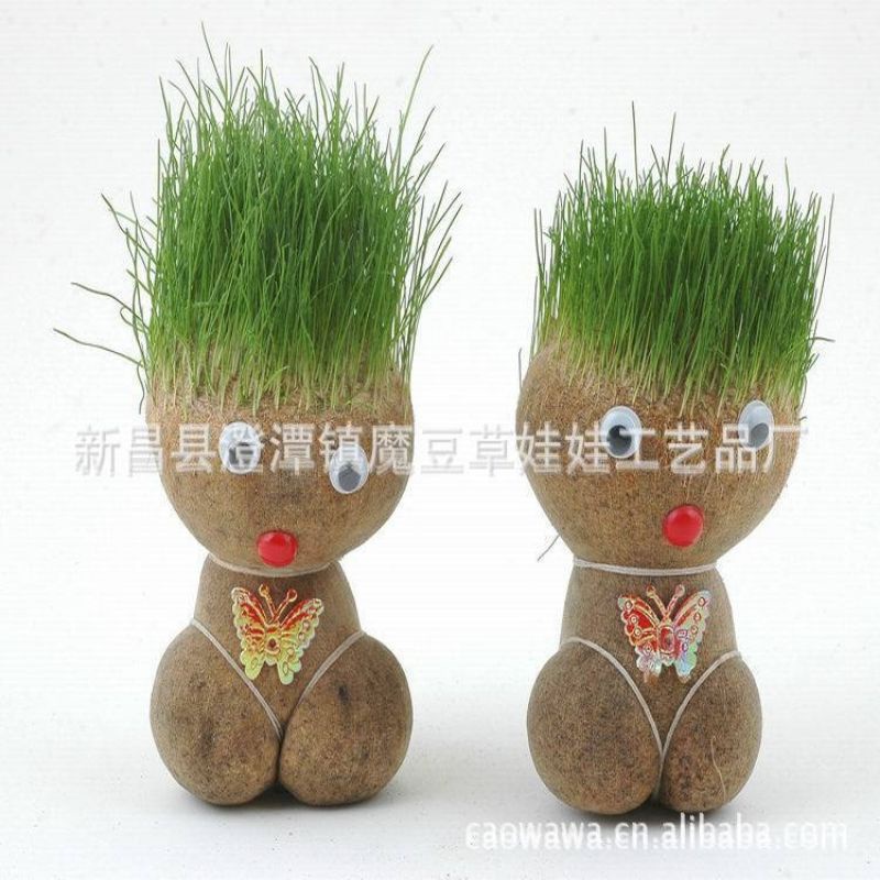 Growing Grass Head Mini Grass Head Toy Educational Toys Grass Head ...