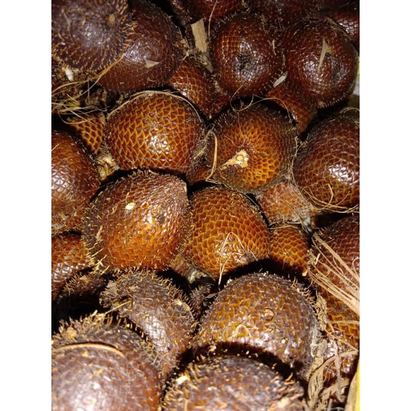 Buah Salak Kampung 1KG | Shopee Malaysia