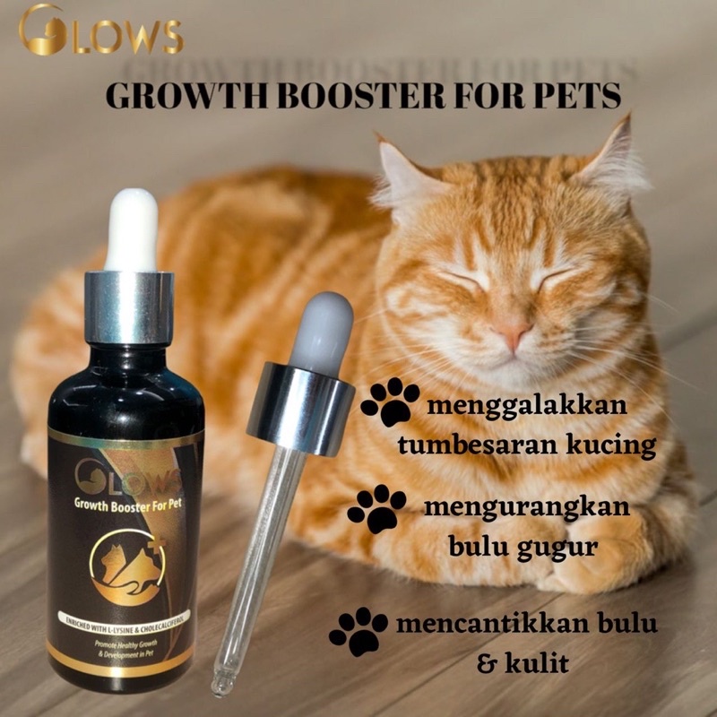 Ultimate Booster/vitamin bagi gemok dan sihat untuk kucing dan pets | Shopee Malaysia