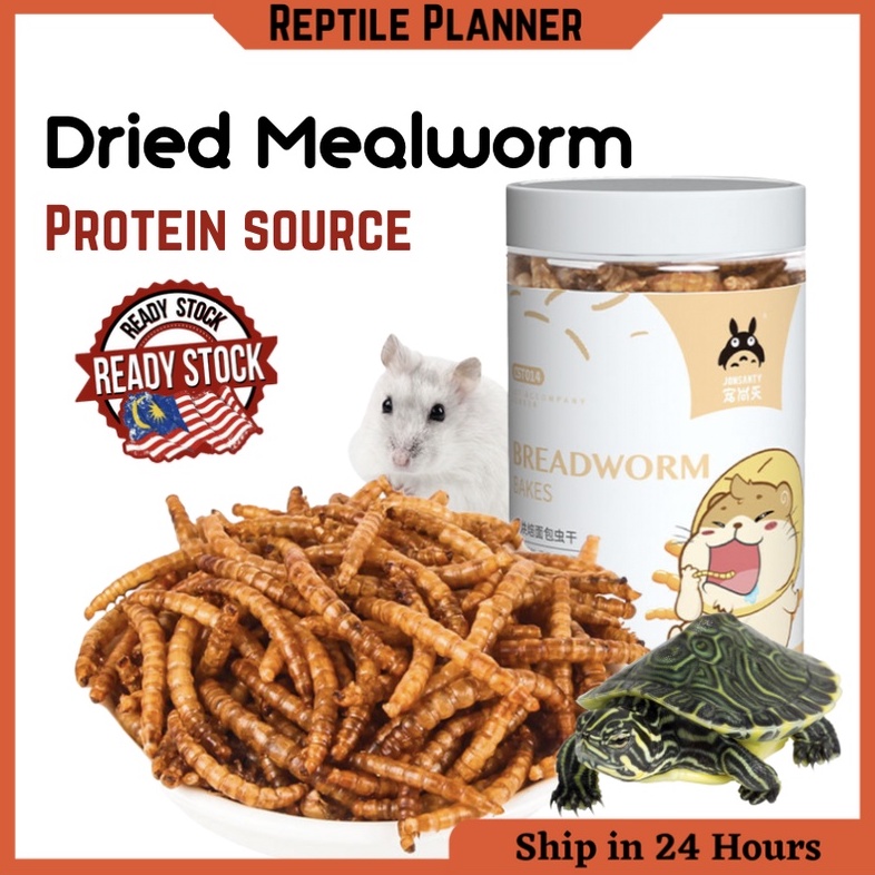 Dried Mealworm Turtle Treat Food Hamster Hedgehog Sugar Glider Parrots ...
