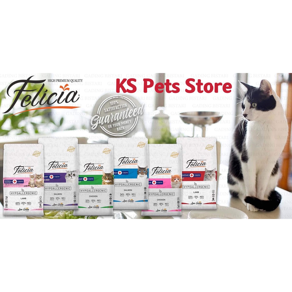 Felicia High Premium Quality Cat Dry Food 2kg ( Made In Turkey ...