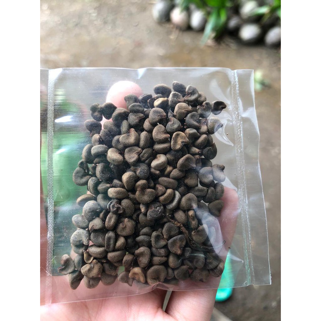 ANOR - Biji Benih Rozel / Roselle Seeds 10g | Shopee Malaysia