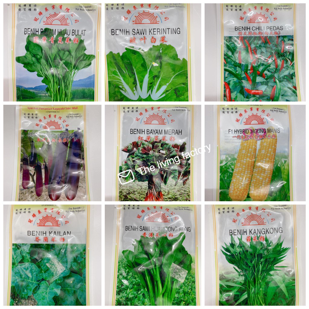 Biji Benih Sayur-Sayuran Berkualiti/ Vegetable Seeds (Pak Choy, Sawi ...