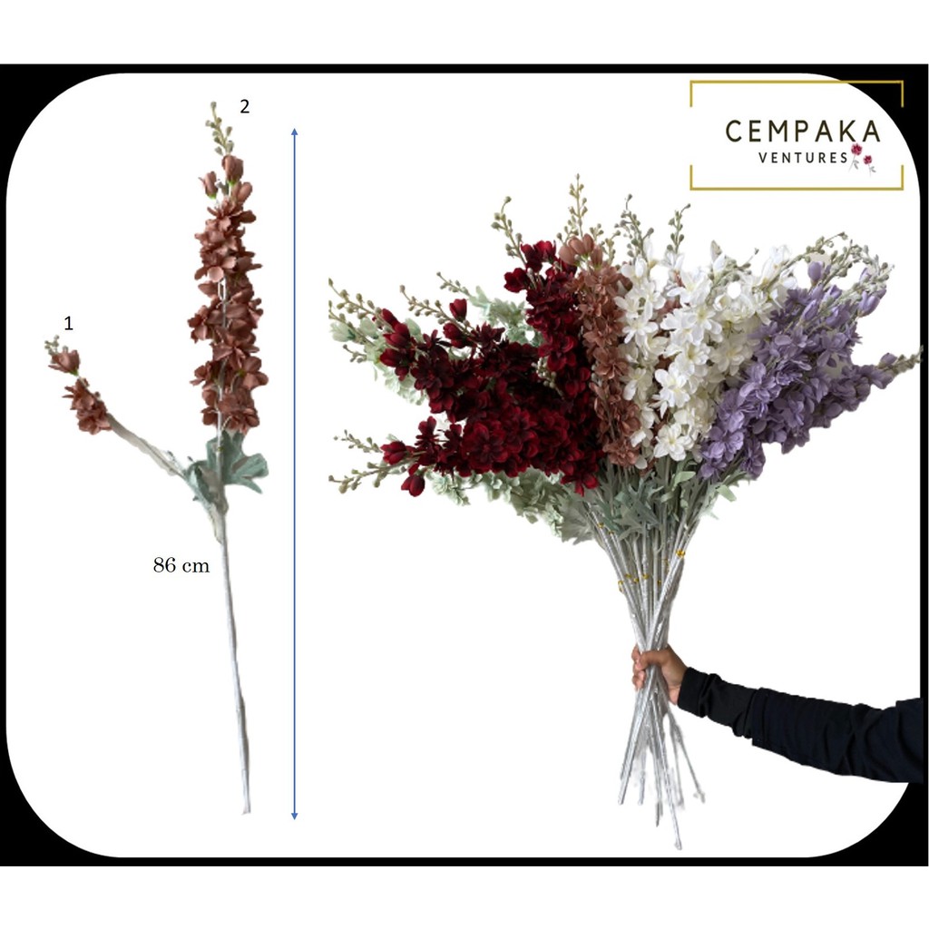 Bunga Harum Sundal Malam Bunga Jagung Hiasan Pelamin Matthiola Flower ...
