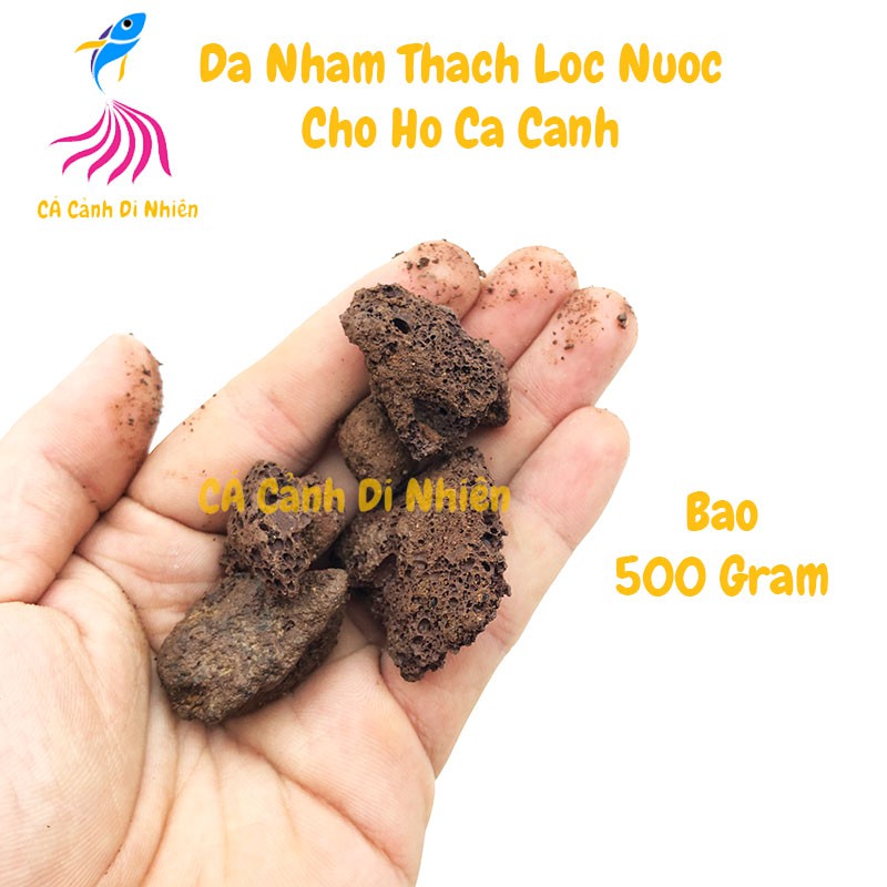 Lava rock water filter material for aquariums 500g bag | Shopee Malaysia