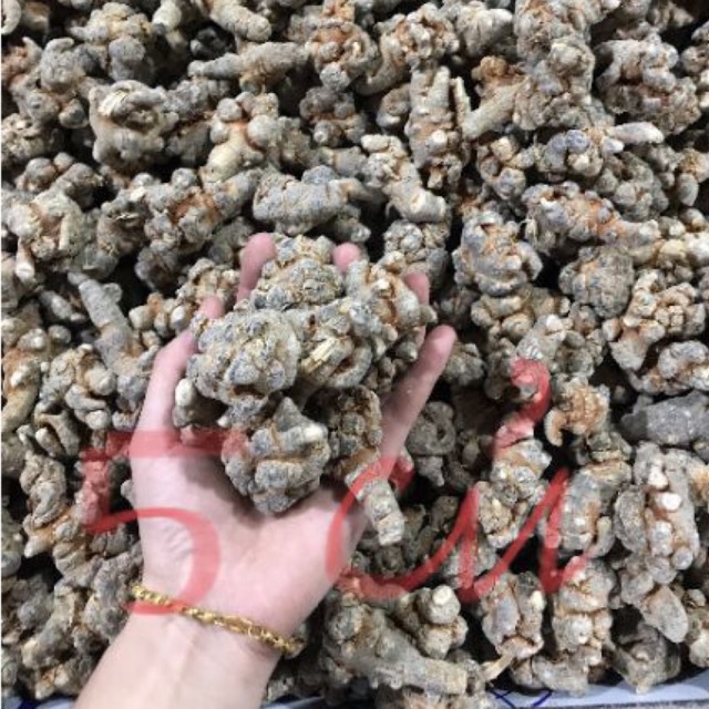 Northern Panax notoginseng root, 50 roots, 1kg, wholesale price (Ha ...