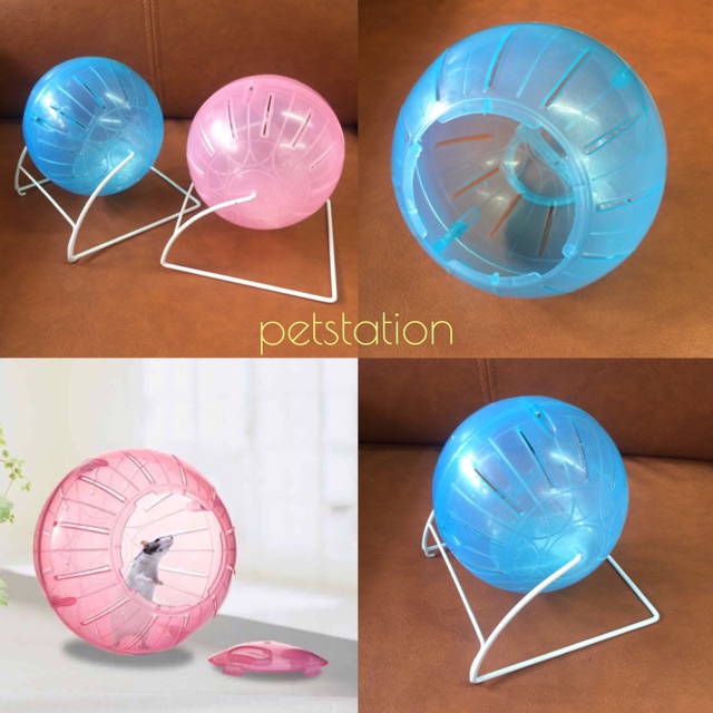 Exercise Ball 4 in 1 Can Remove The Stand. | Shopee Malaysia