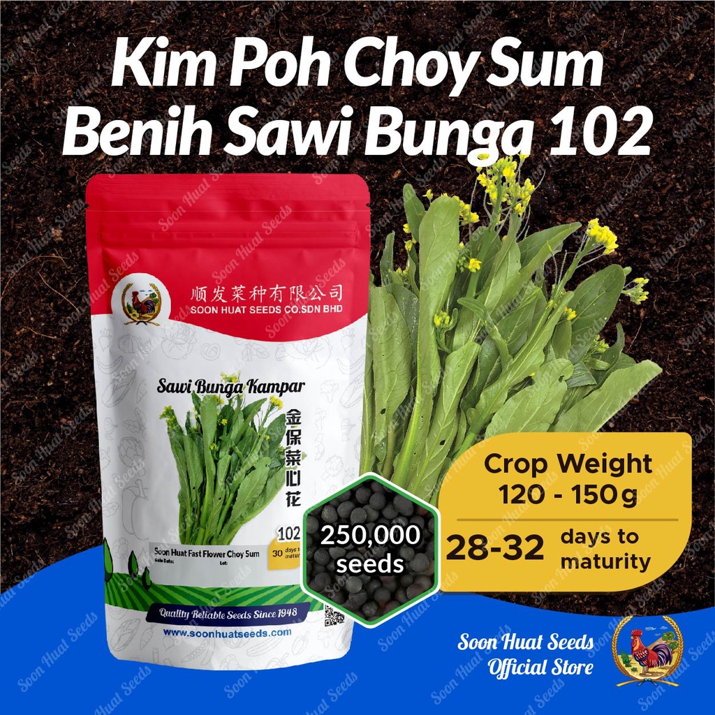 [500g] 102 Benih Sayur Sawi Bunga Kim Poh Choy Sum Soon Huat Seeds ...