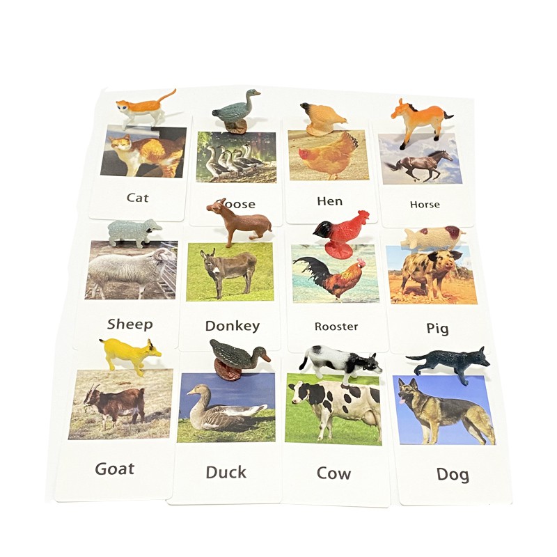 Montessori Animal Match Cards Miniature Poultry Animals with Matching ...