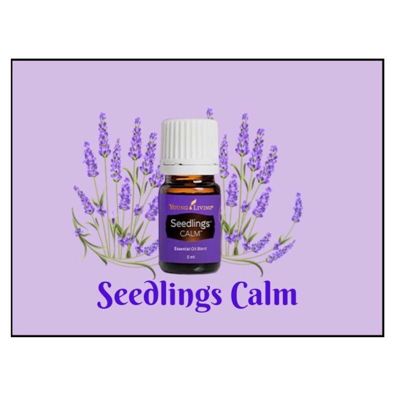Young Living Essential Oil (Seedlings Calm 5ml) | Shopee Malaysia