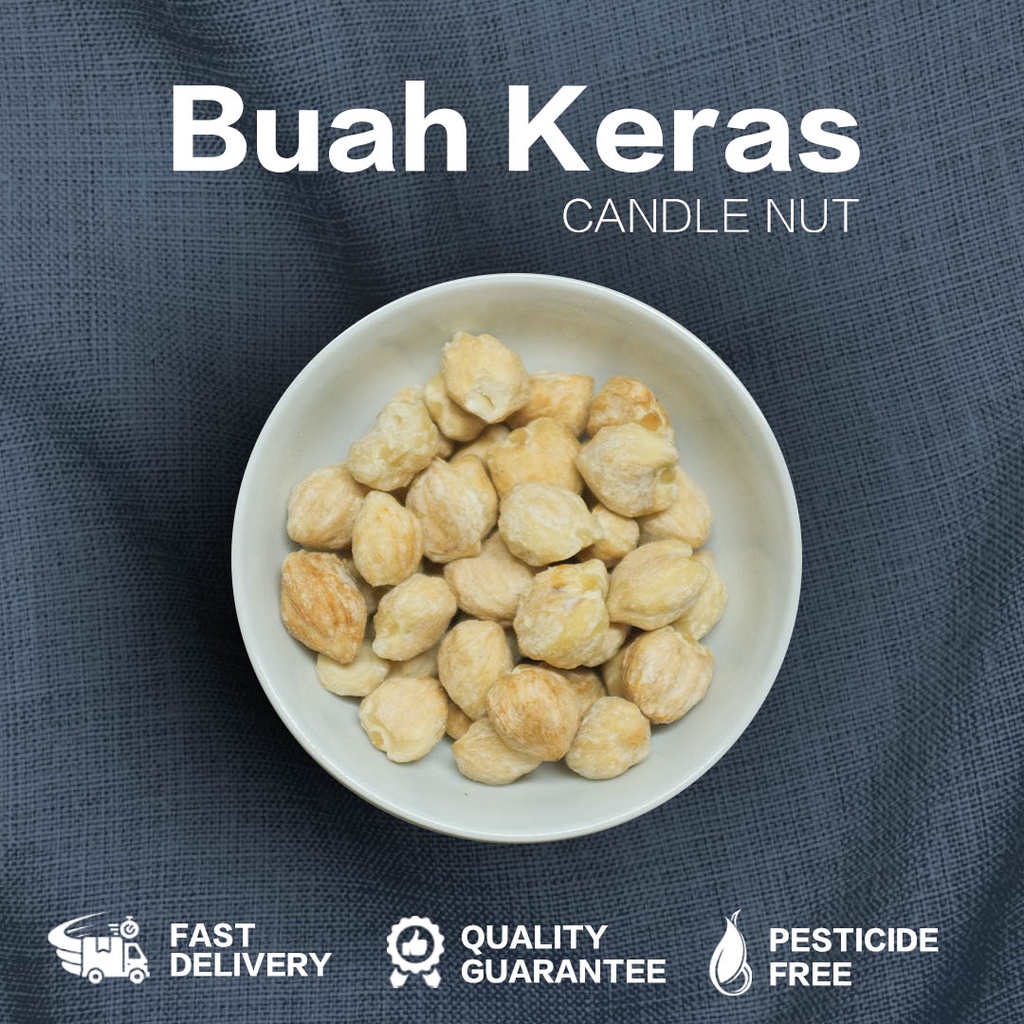 (HARGA BORONG) BUAH KERAS / CANDLE NUT 100G/500G (READY STOCK) | Shopee Malaysia
