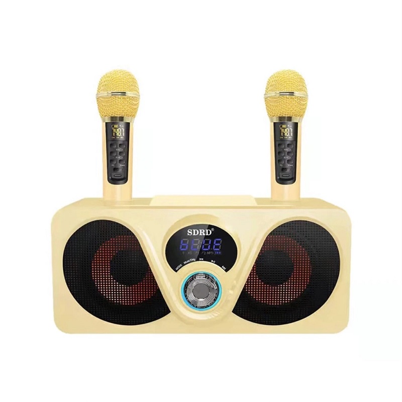 SDRD SD-312 Portable Family Karaoke System Condenser Wireless Stereo ...