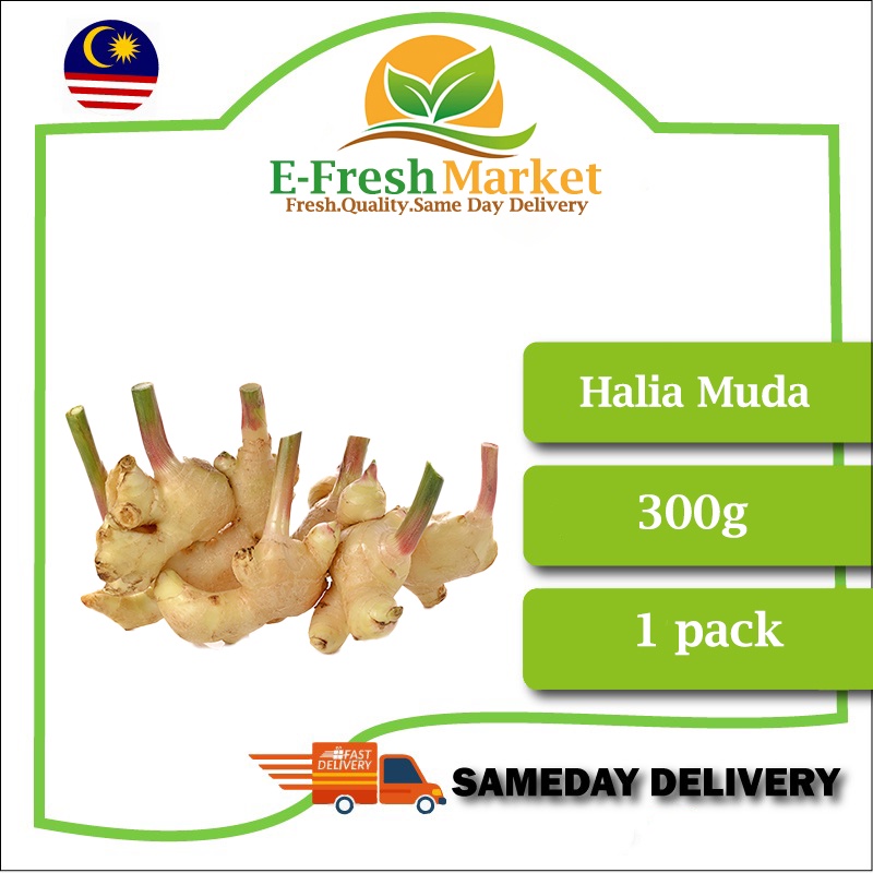 🔥Lowest Price🔥Fresh Vegetable Young Ginger / Halia Muda - Fresh ...