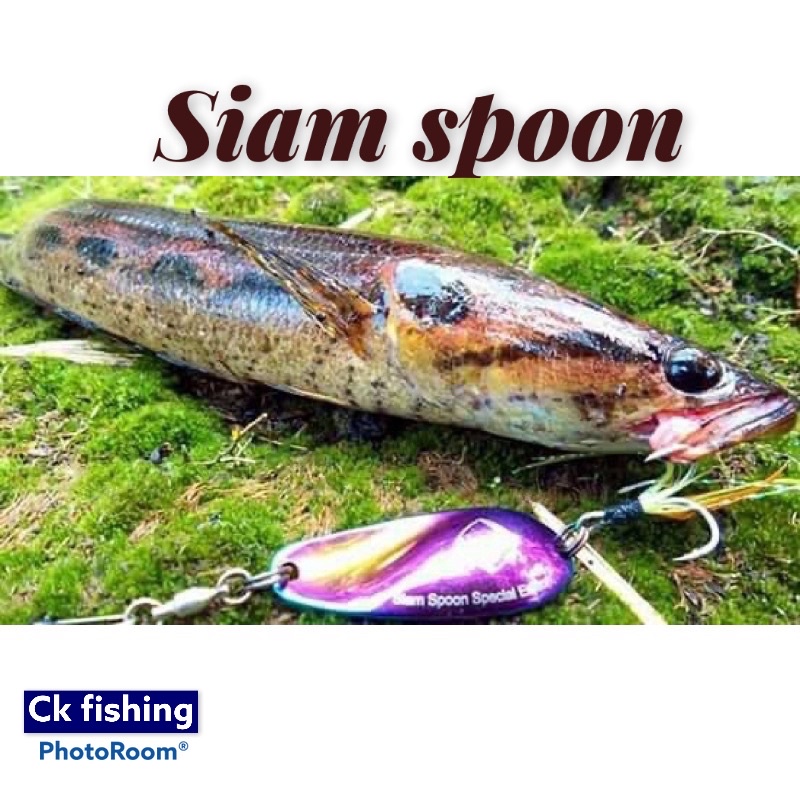 Siam Spoon 9g & 16g ( Made In Thailand ) Fishing Casting Lure / Gewang Pancing Sebarau / Ultra ...