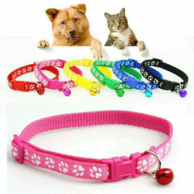 RANTAI KUCING (BERLOCENG) | Shopee Malaysia