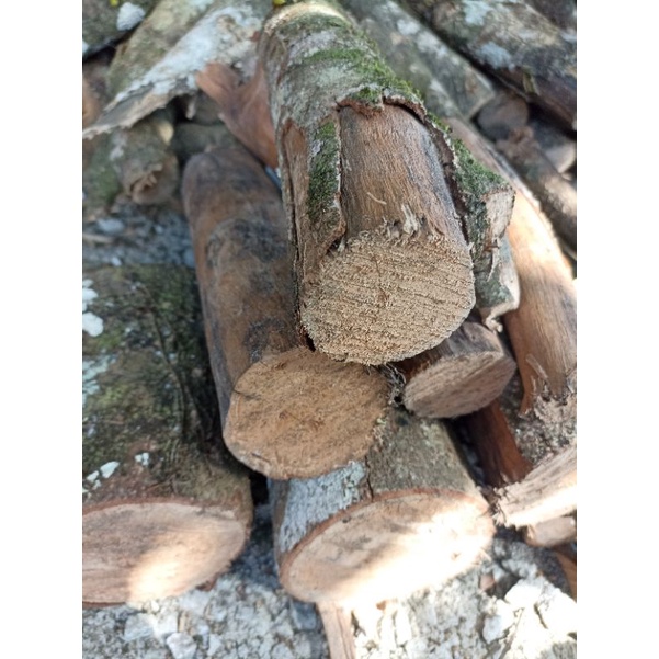 KAYU RAMBUTAN untuk Smoke / Salai (-/+ 12inci panjang) | Shopee Malaysia