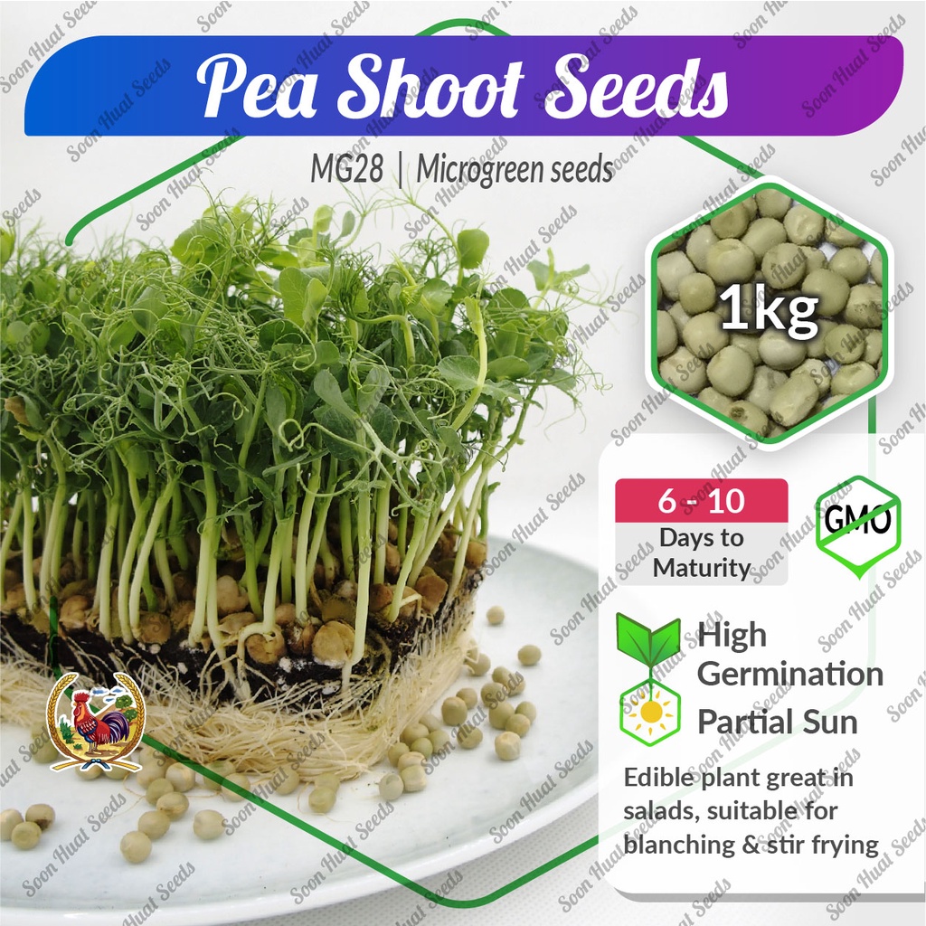 [1KG] MG28 Pea Shoot Microgreen Soon Huat Seeds | Shopee Malaysia