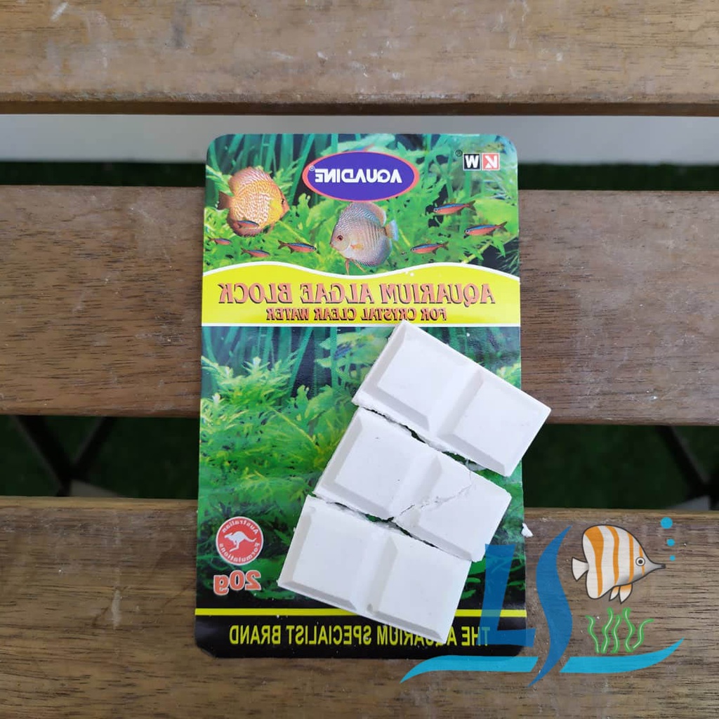 AQUADINE Aquarium Algae Block For Crystal Clear Water 20g by LS Aquatic ...