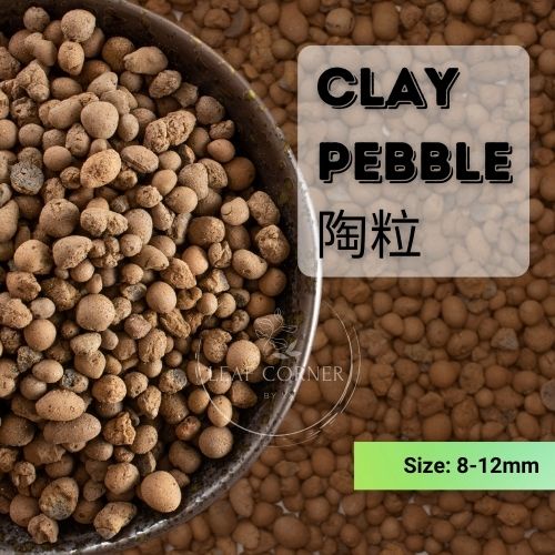 Clay Pebble 陶粒 8-12mm Hydro Stone Clay Pebbles Leca Clay Ball | Shopee ...