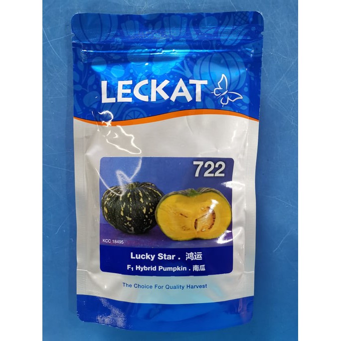 (100g) BENIH LABU MANIS - F1 HYBRID PUMPKIN LUCKY STAR 722 -鸿运 | Shopee ...