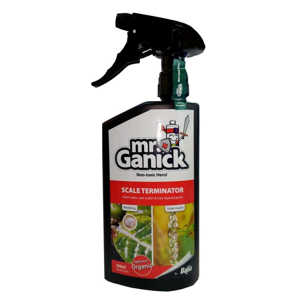 Mr Ganick Scale Terminator Ready To Use (500ML) | Shopee Malaysia