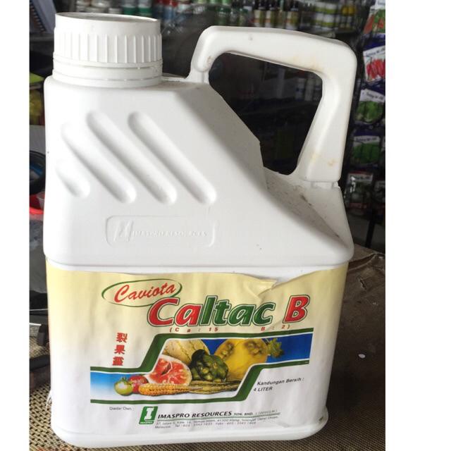 Caviota Caltac B 4L baja semburan Calcium Boron ( 4 litert ) | Shopee ...