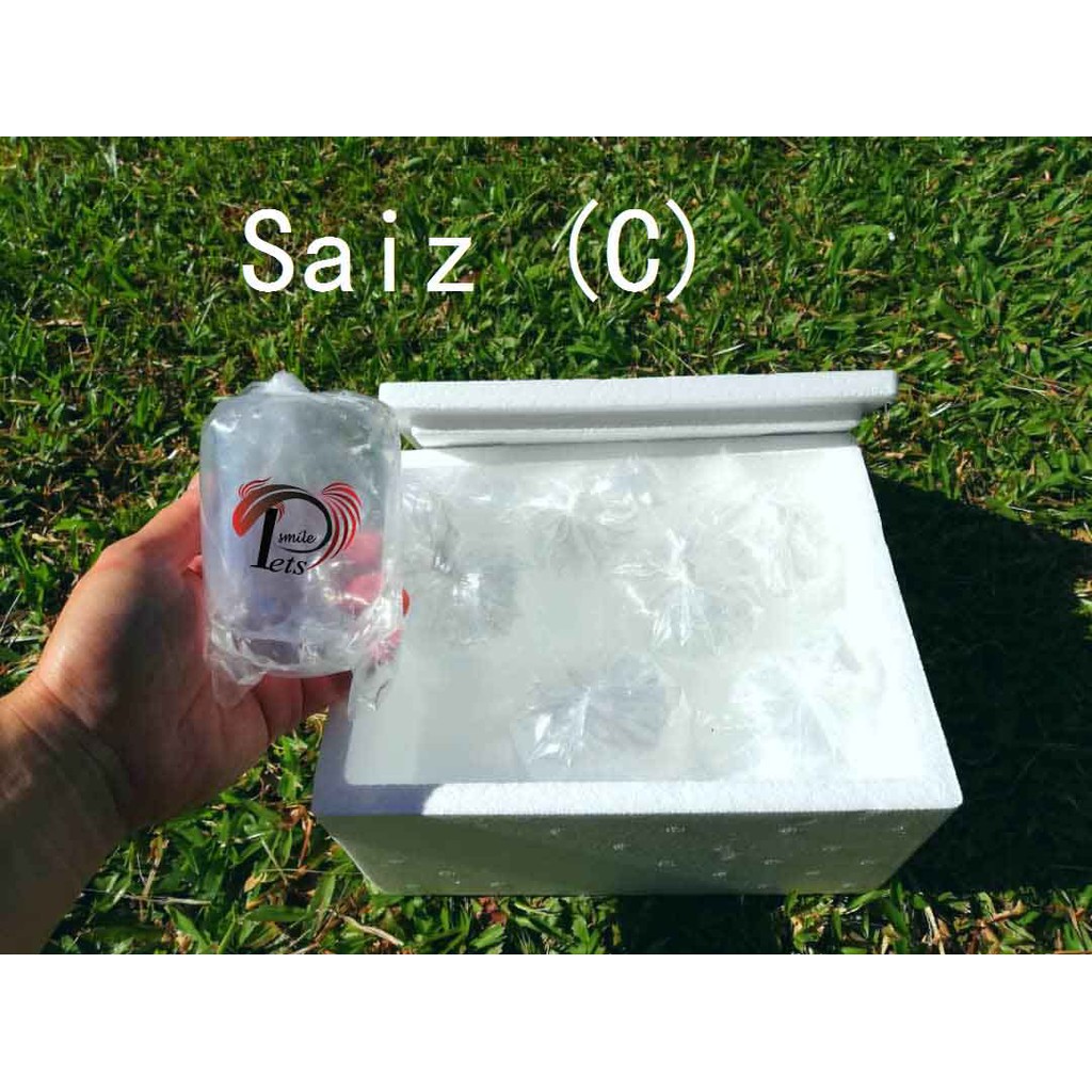 Polystyrene Box/Foambox/Gabus/Good Day Foam/Betta/Shipping Box/Kabus ...