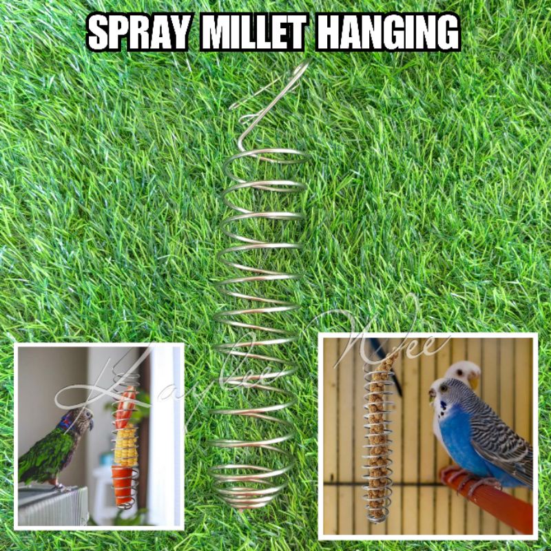 STAINLESS STEEL BIRD FOOD HANGING/SPRAY MILLET HANGING 1PCS | Shopee ...