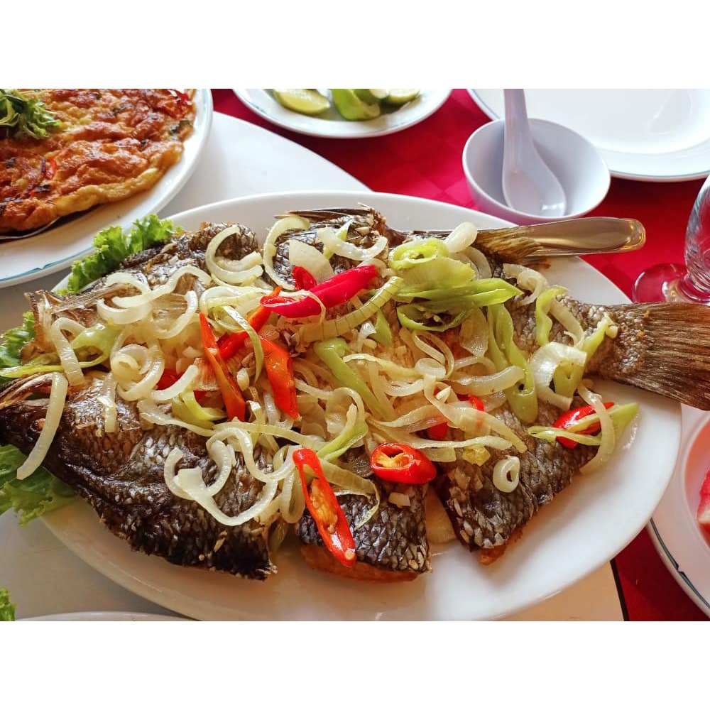 Ikan Siakap Bekok Ocean Fresh | Shopee Malaysia