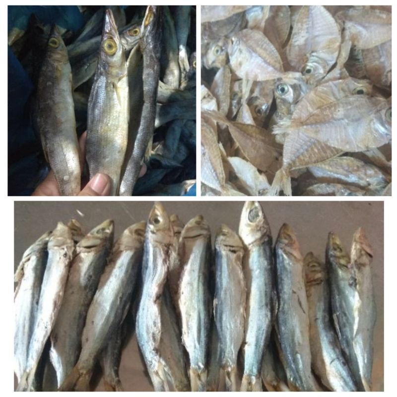 ikan kering tamban, Ikan Maco, ikan tete dari padang Indonesia 250 gram ...