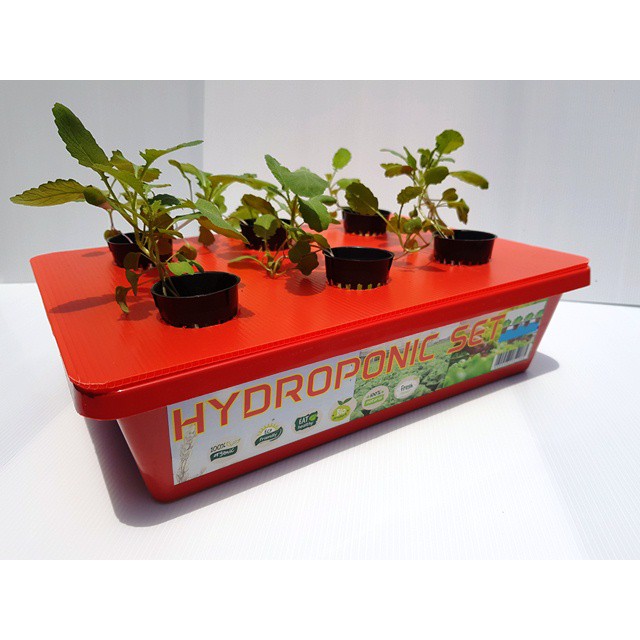 Hidroponik Set Lengkap 6 Lubang / Hydroponic Set Kit Starter 6 Hole ...