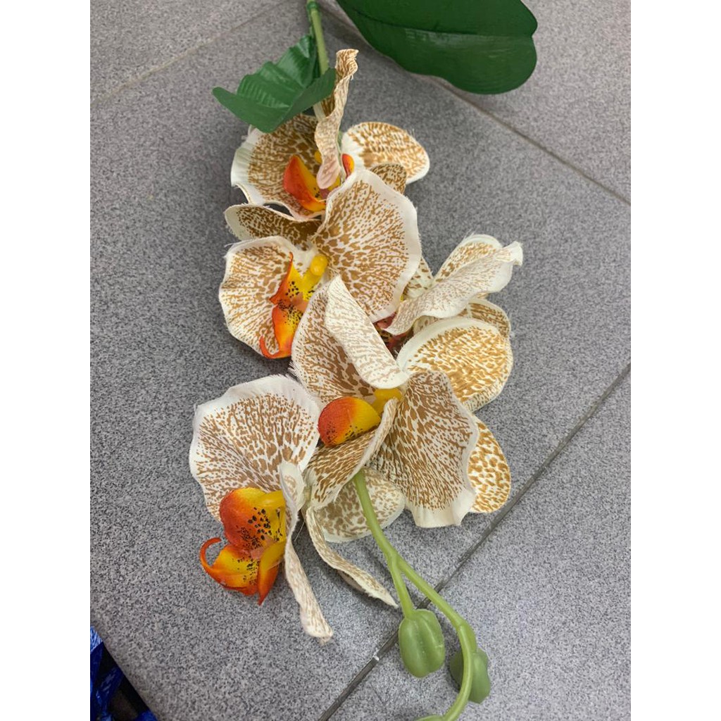 Ready stock orchid siap gubah 6t bunga orkid hiasan bunga bajet bunga ...