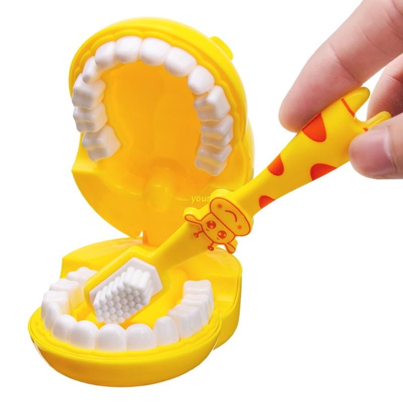 youn Cartoon Teeth Teaching Model with Teeth Brush Medical Kit ...