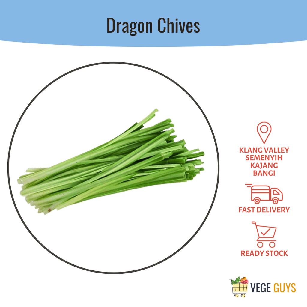 Dragon Chives 青龙菜 (+/-150g) | Shopee Malaysia