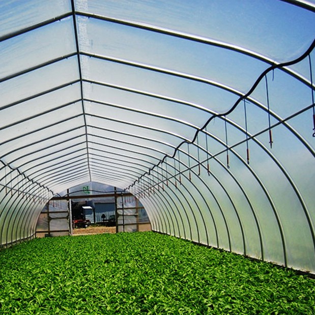 NT1012 (1m/lot 0.12mm) Thickening Agricultural Plastic Film Farm Crops ...