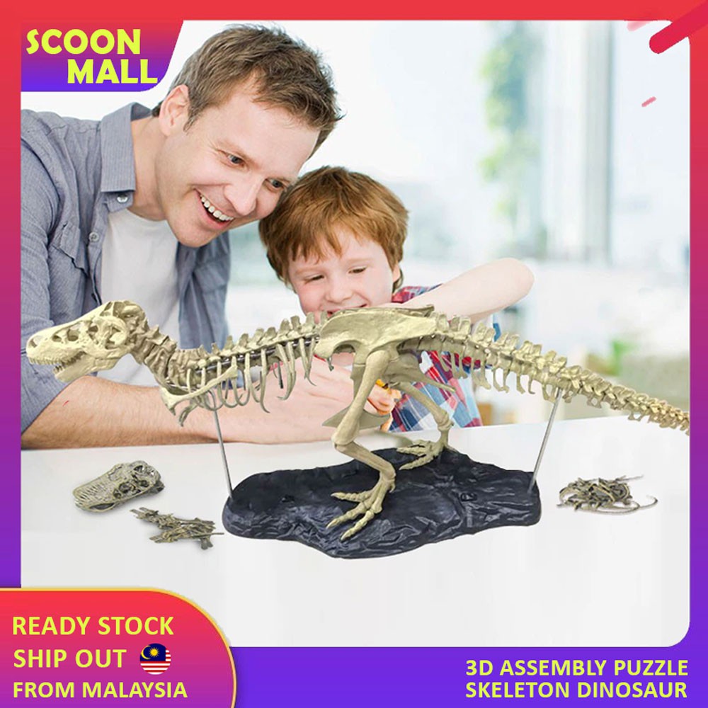 SCOON 3D 28″/70cm PVC Assembling Skeleton Animal Dinosaur Model ...