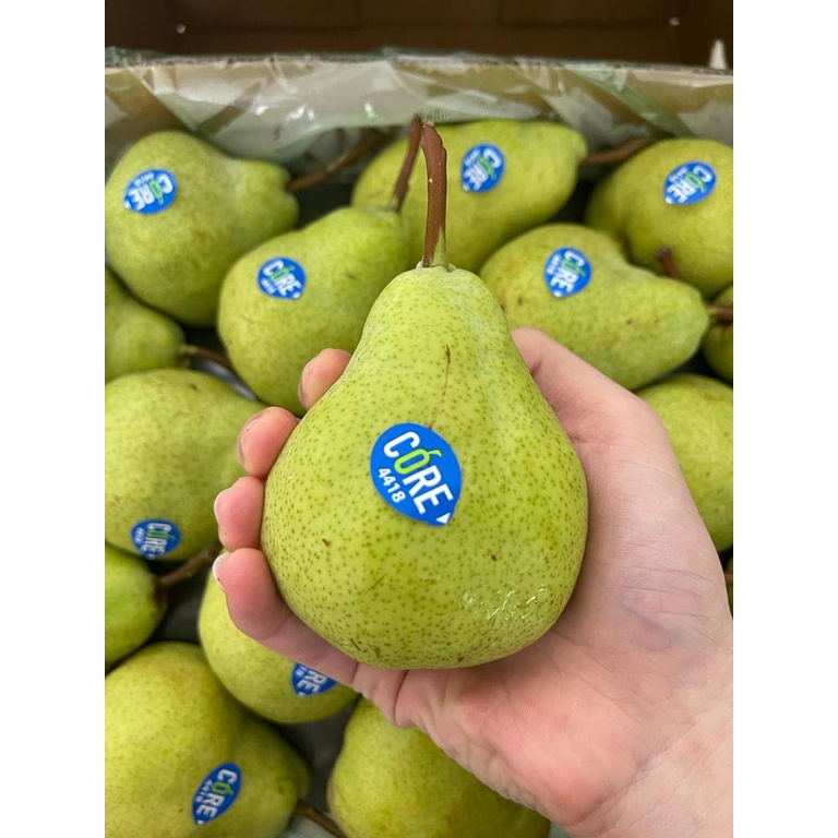 South Africa Pear (Green Packham / Red Cheeky) 5pcs | Shopee Malaysia