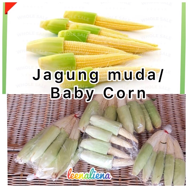 BABY CORN/JAGUNG MUDA 1 PACK | Shopee Malaysia