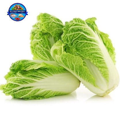 KOBIS PANJANG / LONG CABBAGE / 金马伦长白菜 | Shopee Malaysia