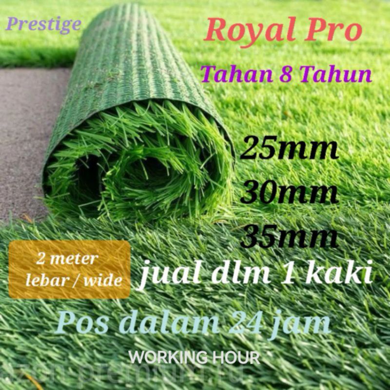 ⛳ 6.5 KAKI Lebar ⛳ ARTIFICIAL GRASS CARPET RUMPUT KARPET PREMIUM RUMPUT ...