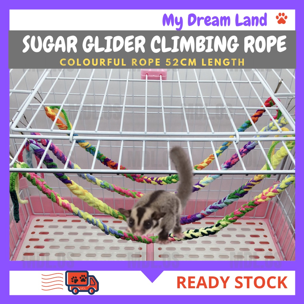 Local Delivery-Colourful Hanging Climbing Rope Sugar Glider Squirrels ...