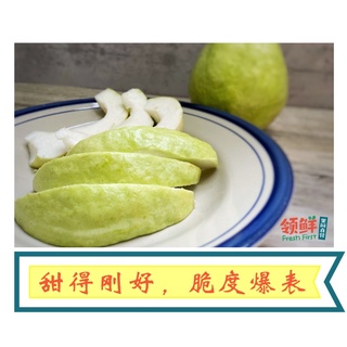 Guava Lohan AA Jambu Batu Lohan 领鲜AA罗汉番石榴 | Shopee Malaysia