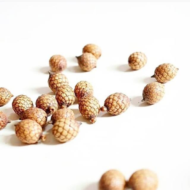 Original RATTAN SEEDS - Product Photo Props / Seeds / Photo Props ...