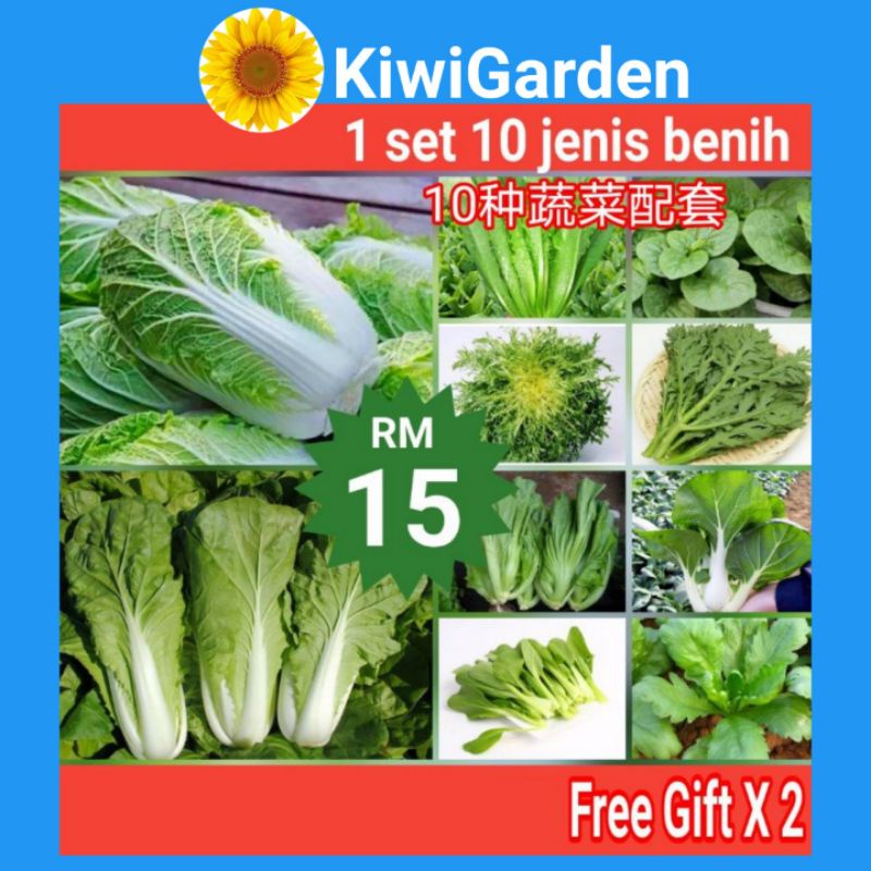 Set B / 1 set 10 jenis biji benih sayur dan 2 free gift | Shopee Malaysia