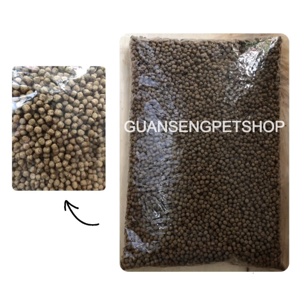 558 Dedak Ikan Puyu Dedak Ikan Terapia Makanan Ikan Fish Food Fish ...