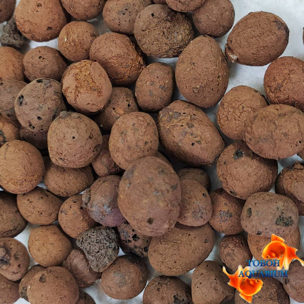 Aqua Clay Pebble Ball For Hydroponic & Aquaponic | Shopee Malaysia