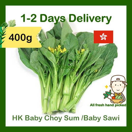 HK Baby Choy Sum / HK Baby Sawi | Shopee Malaysia