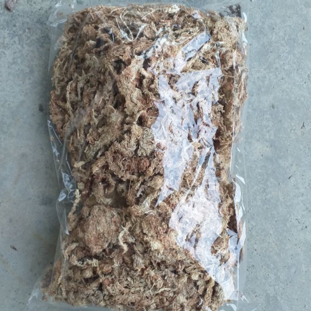 Sphagnum moss. Lumut. Moss. Chile moss gred AAA. 100gram | Shopee Malaysia